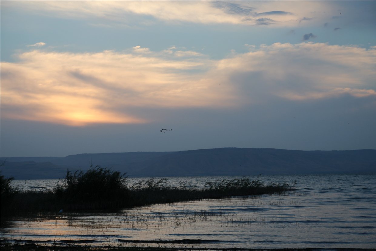 성경진리사역원(BTMK) | 9일차 - 예수님의 실재(reality in Jesus)